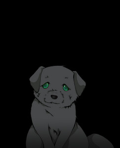 Apathy - Midnight Collection ~Vol. 1~ | vndb