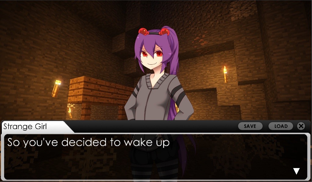 Minecraft: A Dimensional Disaster | vndb