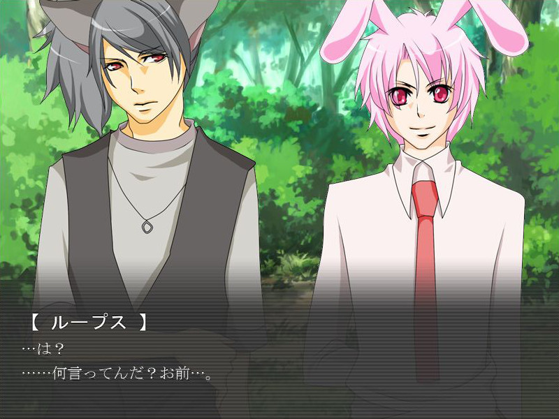 Oideyo☆Doubutsu no Mori | vndb
